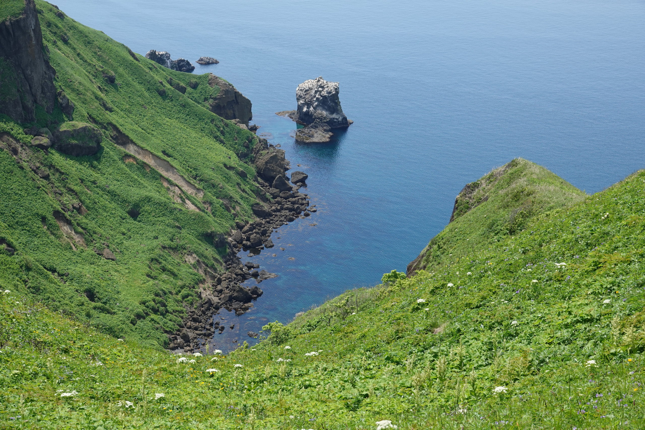 Rebun-Floating Island of Flowers, Hiking the Momoiwa Observation Course ...