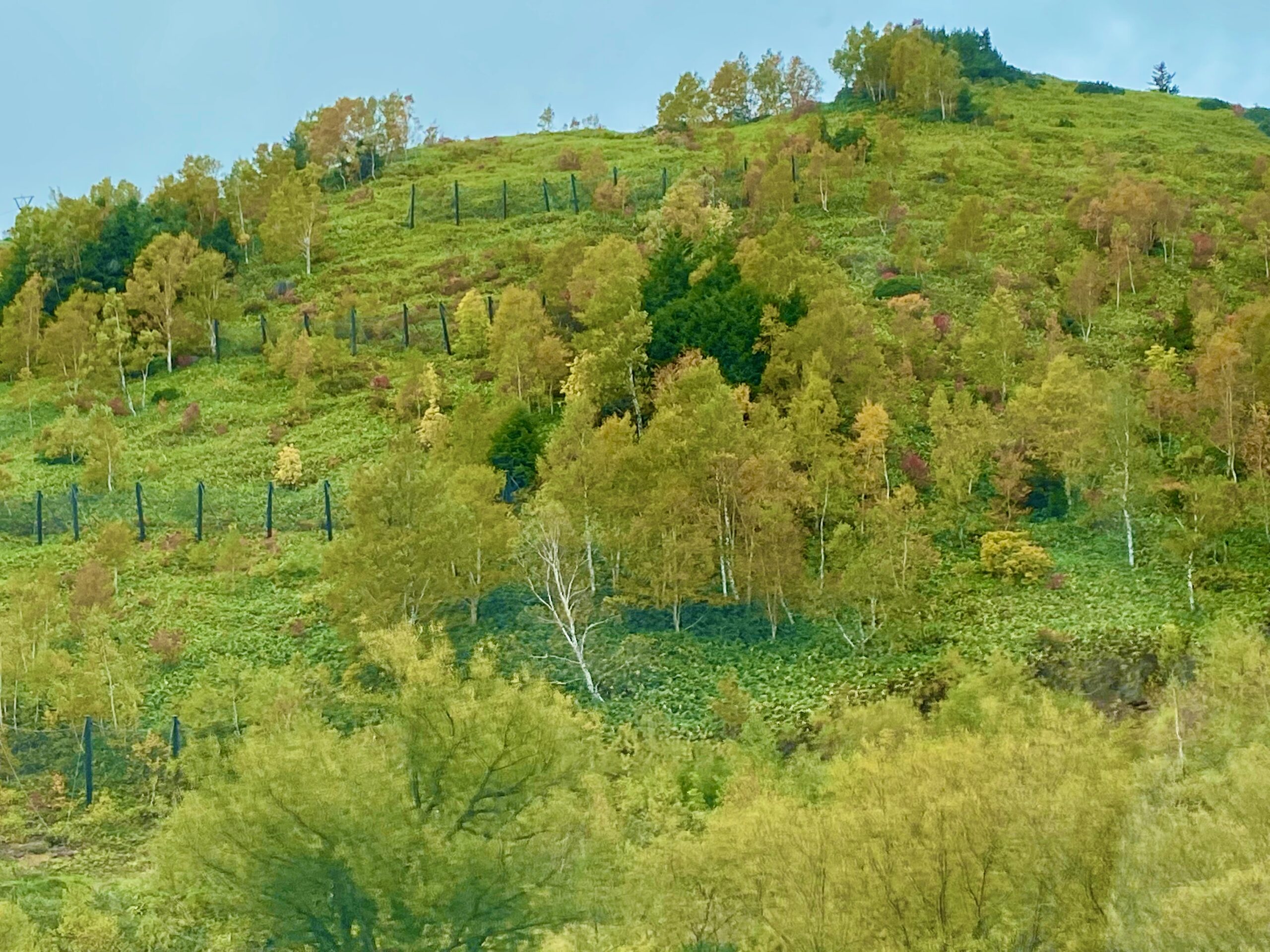 Kusatsu Shiranesan, after the volcano to Shibu pass 草津白根山 - DriveJapan ...