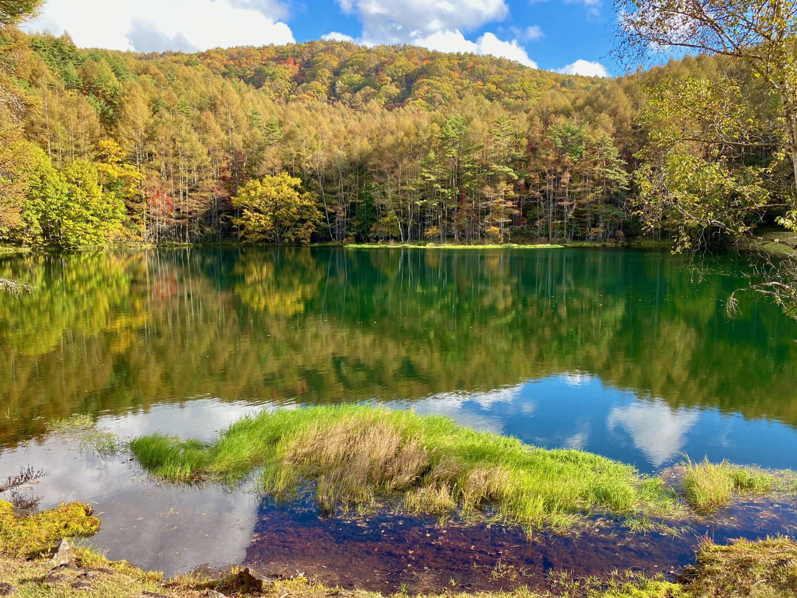 Utsukushigahara, cows grazing above the cloud sea + Mishaka ike 美ヶ原 ...