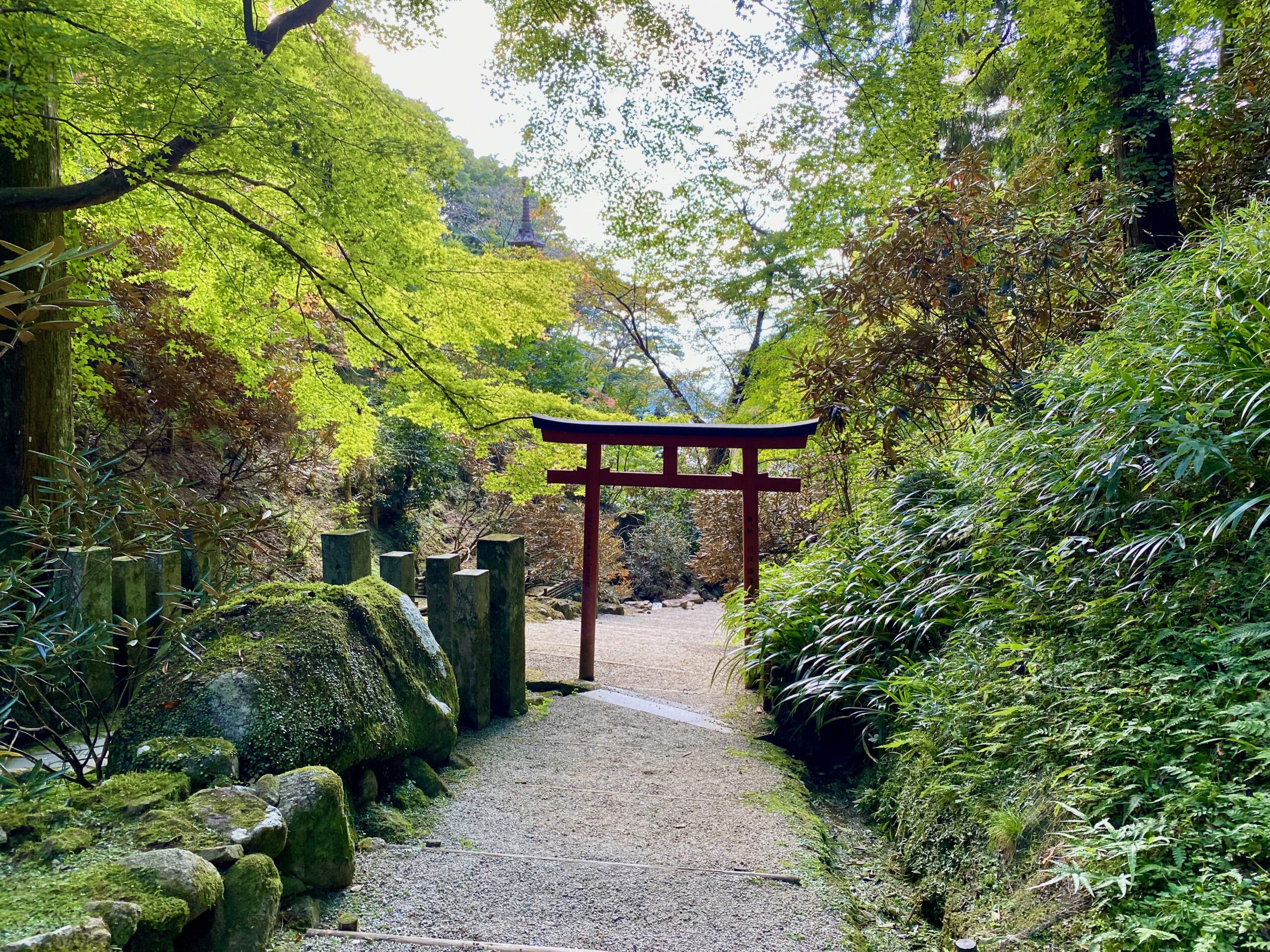 Asuka, temples and Cosmos flowers 飛鳥 - DriveJapan / HikeJapan